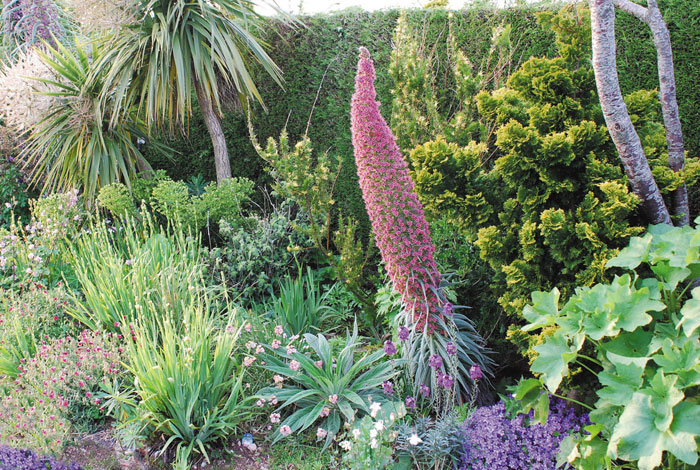 Plant World Gardens and Nursery